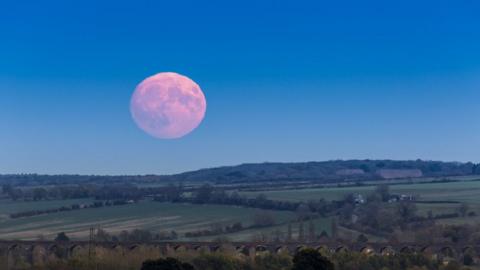In pictures: The 'supermoon' - BBC News