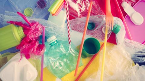 Microplastics: Why plastic is causing big problems for worms - BBC ...