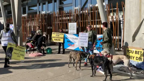 MSPs urged to call for ban on greyhound racing amid doping concerns