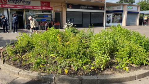 Reading residents work to transform neglected open space - BBC News