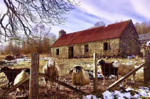 Your pictures of Scotland: 11 - 18 March