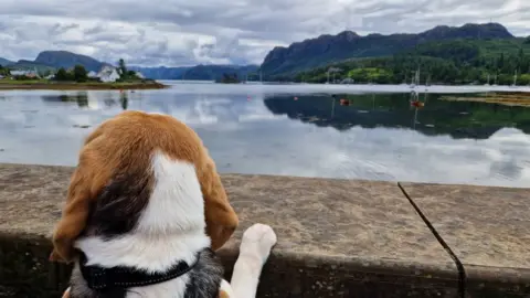 Your pictures of Scotland: 14 July to 21 July