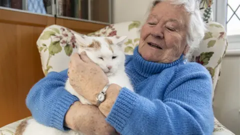 Cat of The Year Awards: Inspiring tails of the UK's finest felines