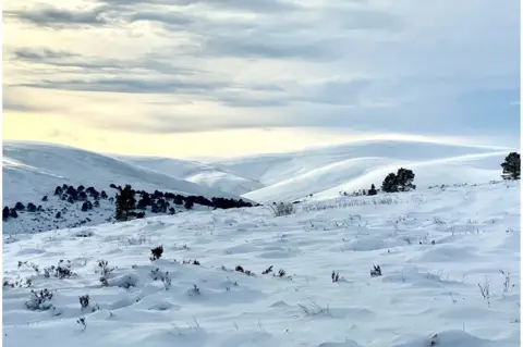 Your pictures of Scotland 15 - 22 January