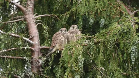 Your pictures of Scotland: 24 June - 1 July