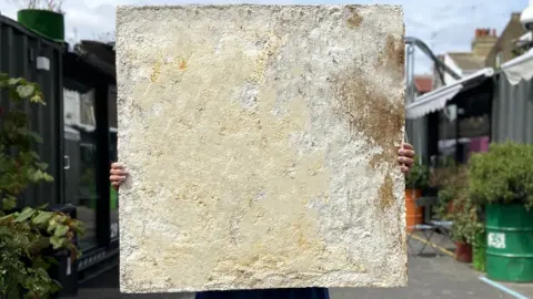 Fungi insulation panels to be grown at Watchet's ex-mill