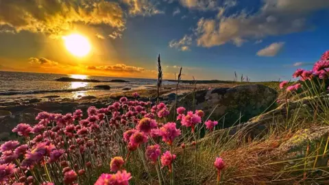 Your pictures of Scotland: 19 - 26 May