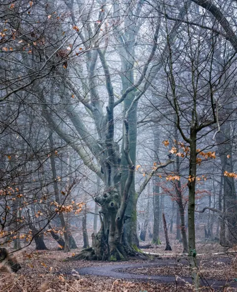 England's Big Picture: 22 - 28 March