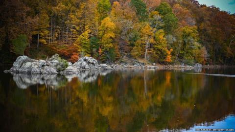 The beauty of autumn - BBC Weather
