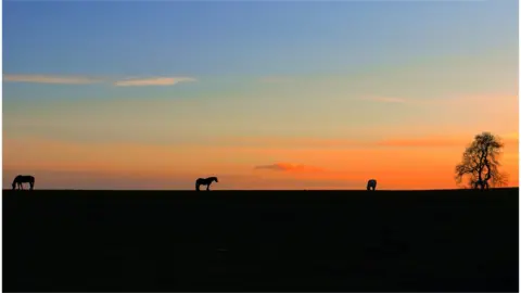 Your pictures of Scotland 21 - 28 May