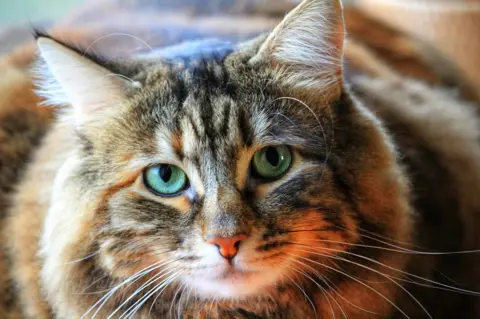 Your pictures of Scotland: 5-12 November