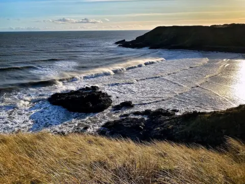 Your pictures of Scotland 20 - 27 November