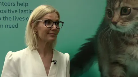 USPCA says rise in kittens being abandoned across NI