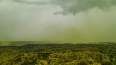 Pollen clouds shroud parts of US south-east as allergies spike