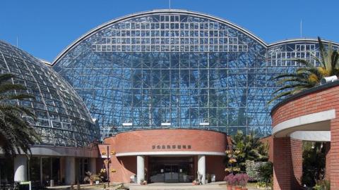 Pokemon Go: Where might you catch 'em all in Japan? - BBC News