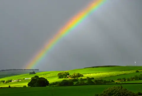 Your pictures of Scotland: 7 - 14 June