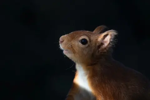Your pictures of Scotland: 12 - 19 October