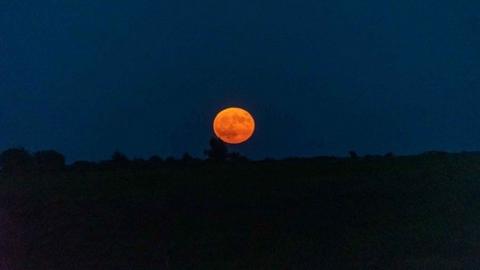 In pictures: Strawberry Moon rises over the south - BBC News