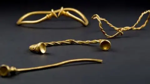Stoke-on-Trent City Council's bid to buy Iron Age gold