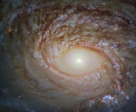 The best space images of 2019
