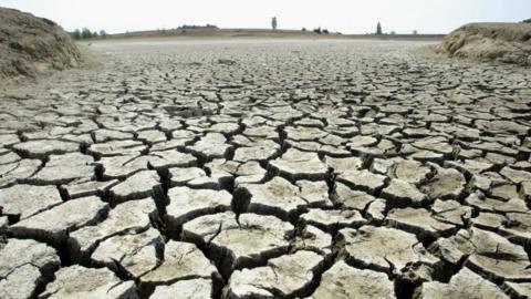 Climate Week: World split on urgency of tackling rising temperatures ...