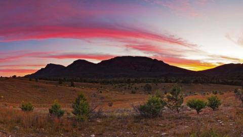 Will H Ogilvie: How a Borders boy became a leading bush poet - BBC News