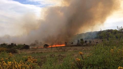 Firefighters injured in country blaze in Devon - BBC News