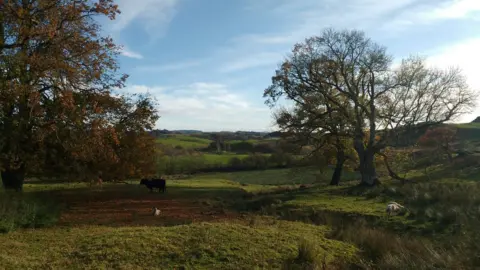 Your pictures of Scotland: 8 - 15 November