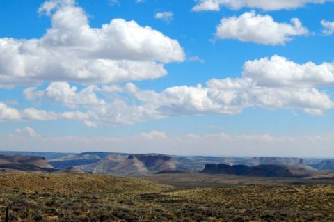 Your pictures on the theme of 'open spaces' - BBC News