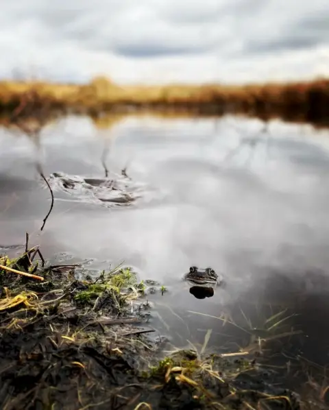 Your pictures of Scotland 26 February - 5 March