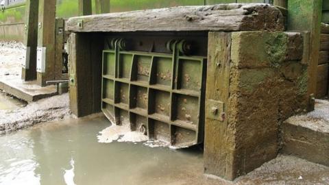 The lost rivers that lie beneath London - BBC News