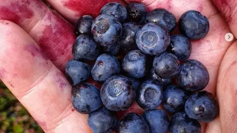 Leeds forager living on wild food for three months