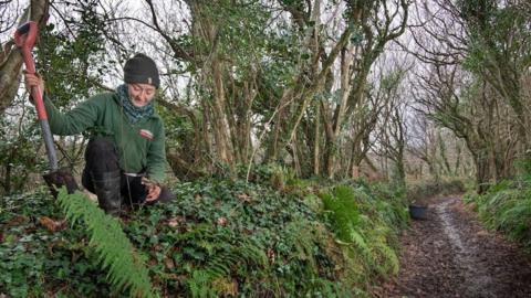 Eden Project launches deep geothermal heating system - BBC News