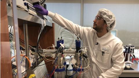 Coronavirus vaccine: Scientists race to develop prevention - BBC News