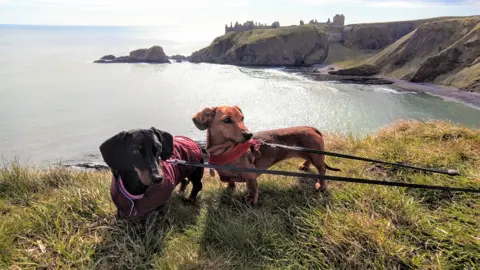 Your pictures of Scotland 9 - 16 April