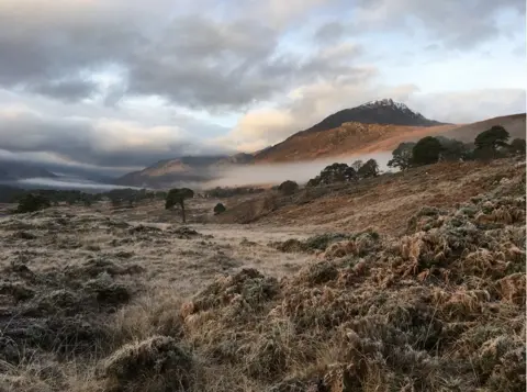 Your pictures of Scotland 27 November - 4 December