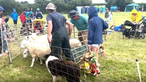 Visitors flock to annual Sark Sheep Racing Festival