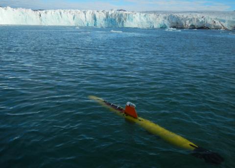 Climate change: Arctic glaciers 'shrinking by 300m each year' - BBC News