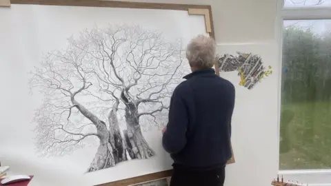 Nottinghamshire: Artwork of famous Major Oak tree to go on display