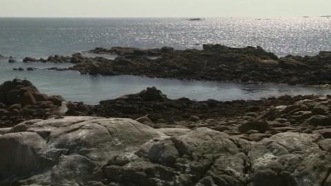 Minquiers areas receive special protection status - BBC News