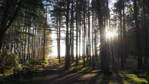 Your pictures of Scotland: 17 - 24 January