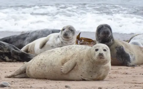 Your pictures of Scotland 14 - 21 May