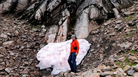 UK's long-lasting snow patch melts away for 10th time in 300 years ...