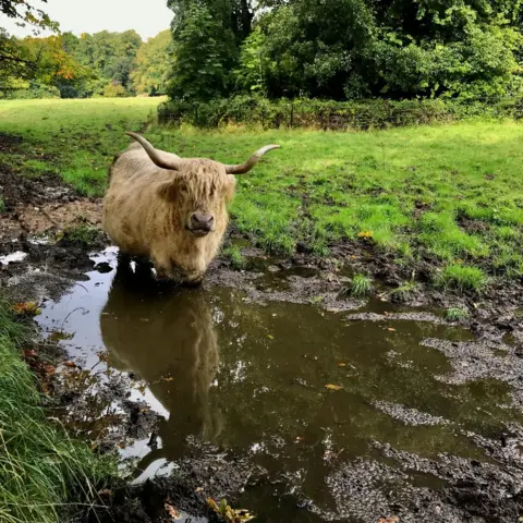Your pictures of Scotland 11 - 18 December