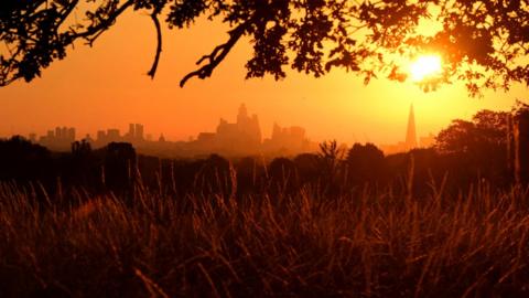 Heatwave: How hot is too hot for the human body? - BBC News