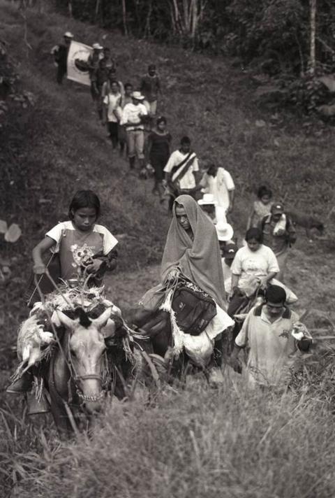 Colombia Farc ceasefire: The man who photographed a little-pictured war ...