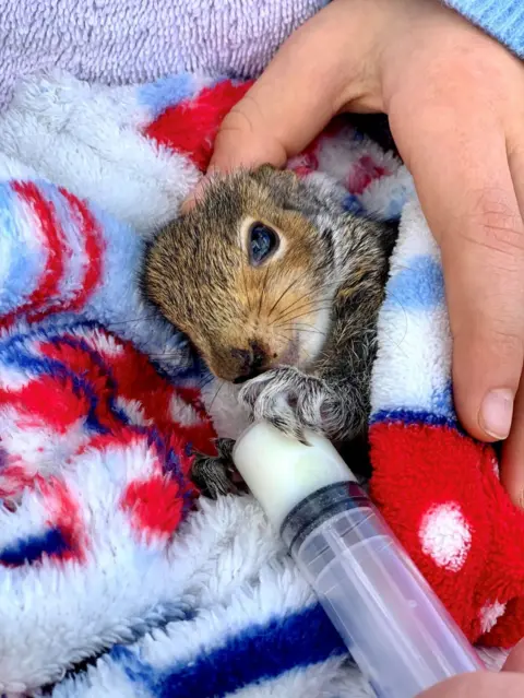 Young Yorkshire photographers scoop national awards