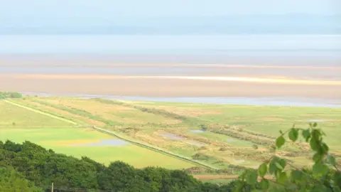 Family rescued after being cut off by Solway tide