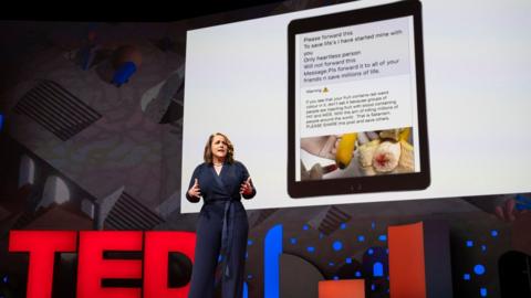 TED 2019: How to kill a zombie rumour and fix Facebook - BBC News