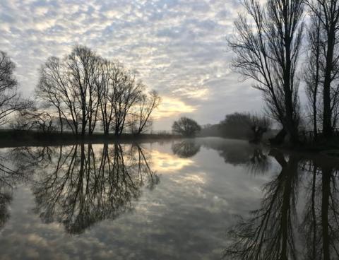 England's Big Picture: 12 - 18 March - BBC News